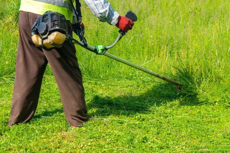 Creating Defensible Space: How to Prevent Fire Spread | All Seasons